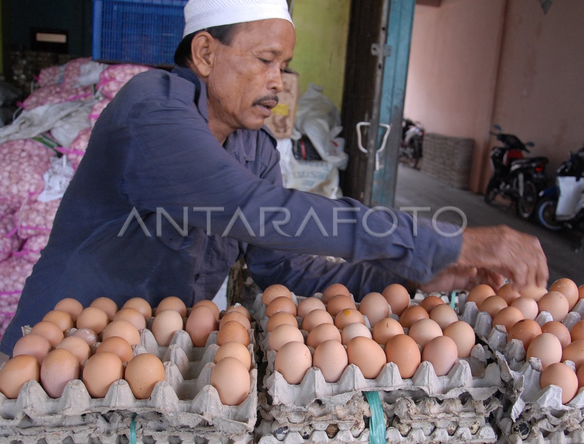 HARGA TELUR MELAMBUNG | ANTARA Foto