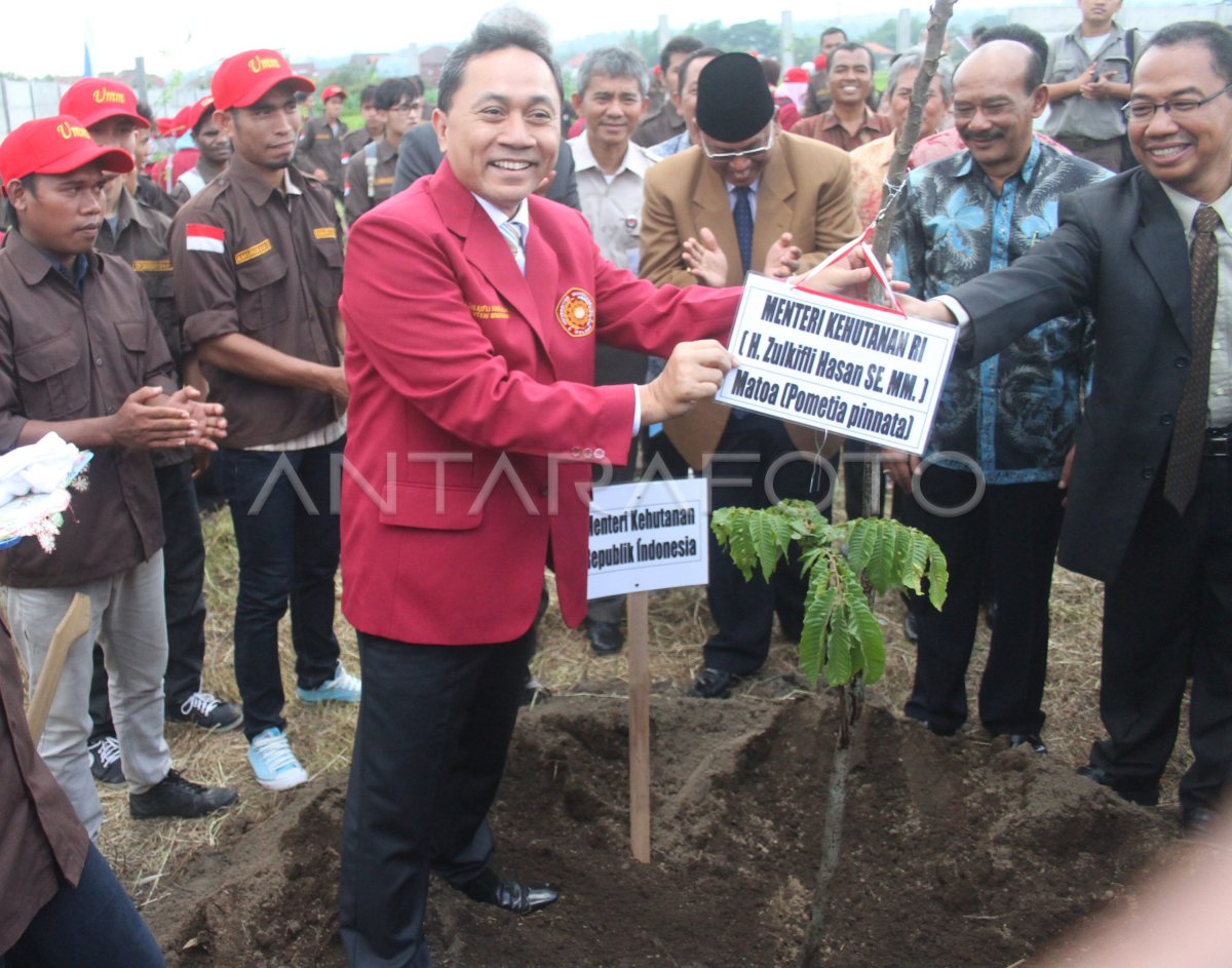 MENHUT TANAM POHON | ANTARA Foto