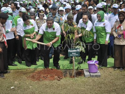 GERAKAN TANAM POHON | ANTARA Foto