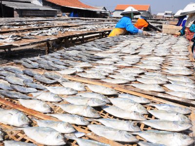 PRODUKSI IKAN ASIN | ANTARA Foto