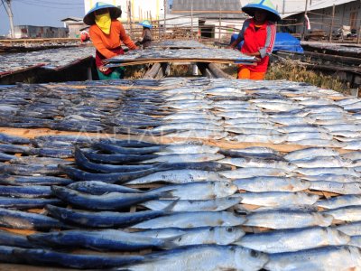 PRODUKSI IKAN ASIN MENINGKAT | ANTARA Foto
