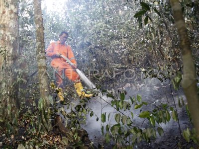 KENDALA PENANGANAN KEBAKARAN HUTAN | ANTARA Foto