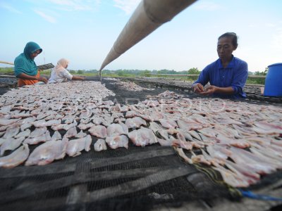 PRODUKSI IKAN KERING MENINGKAT | ANTARA Foto