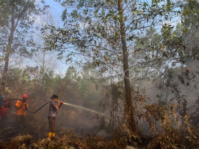 PEMADAMAN KEBAKARAN LAHAN GAMBUT | ANTARA Foto