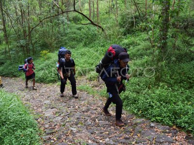 JALUR PENDAKIAN GUNUNG LAWU | ANTARA Foto