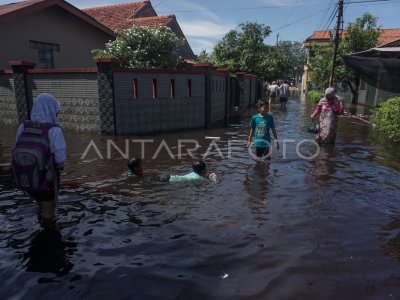 BANJIR ROB DI KOTA PEKALONGAN | ANTARA Foto