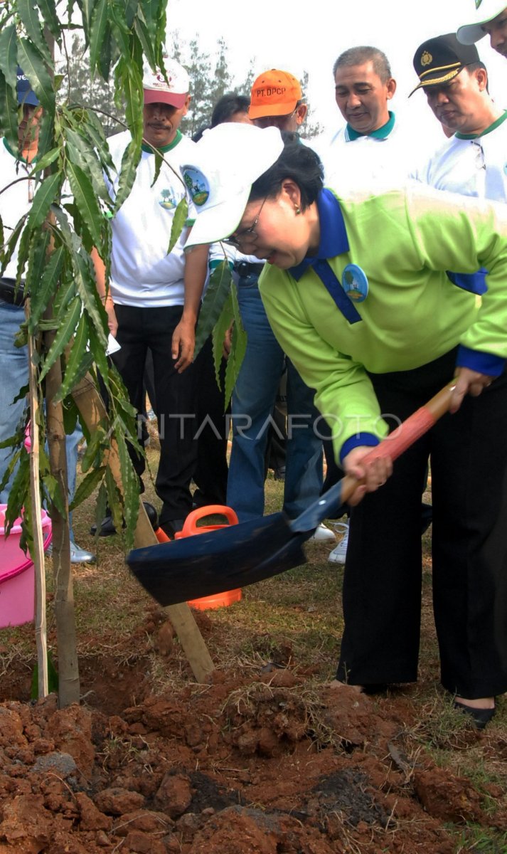 TANAM POHON | ANTARA Foto