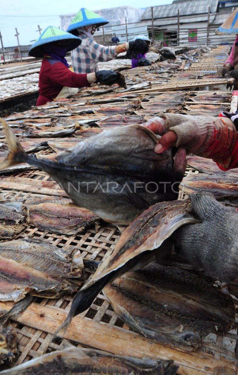 PRODUKSI IKAN ASIN | ANTARA Foto