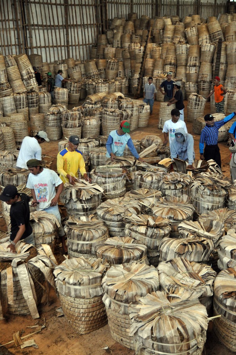 TINGKATKAN PEMBELIAN TEMBAKAU | ANTARA Foto