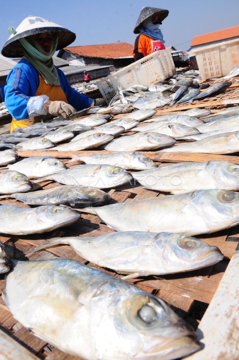 PRODUKSI IKAN ASIN | ANTARA Foto