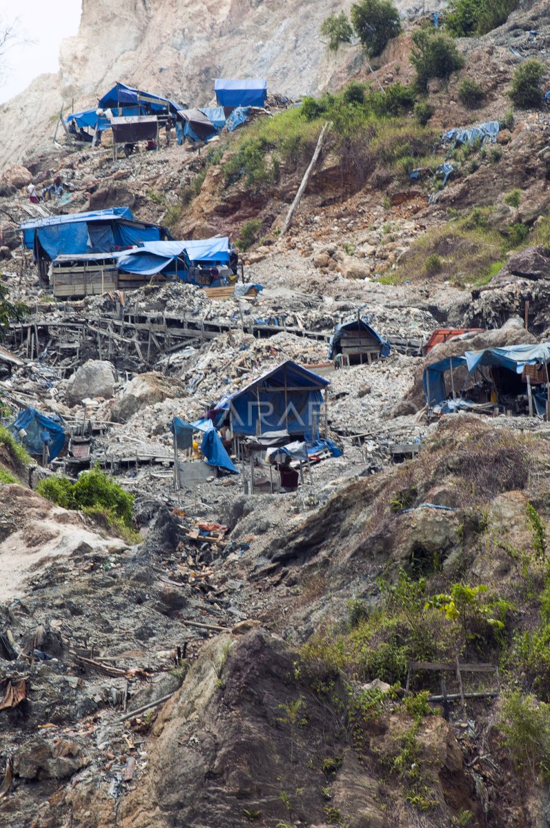 PENAMBANG LIAR KEMBALI SERBU GUNUNG BOTAK | ANTARA Foto