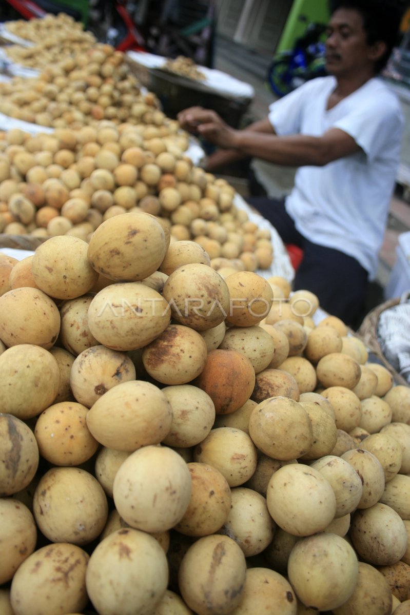 Buah Dukuh Antara Foto