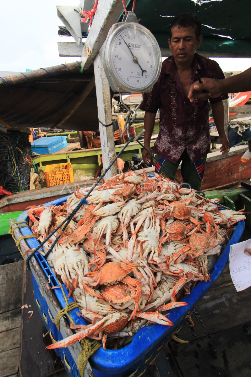 HARGA RAJUNGAN RENDAH | ANTARA Foto HARGA RAJUNGAN RENDAH | ANTARA Foto