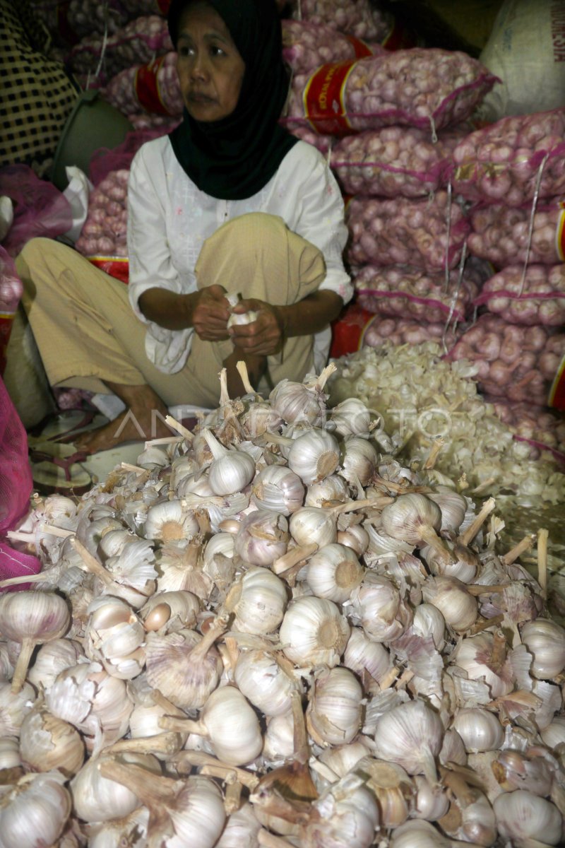 HARGA BAWANG MELONJAK | ANTARA Foto HARGA BAWANG MELONJAK | ANTARA Foto