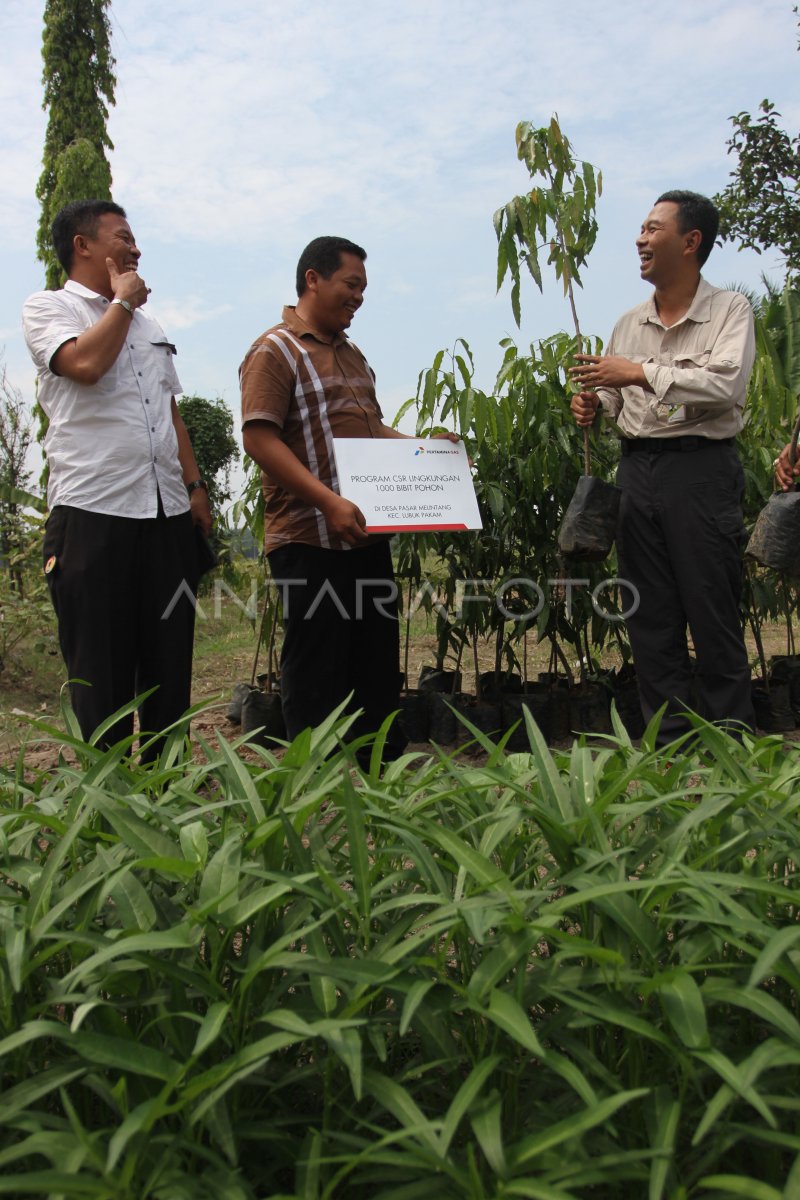 CSR LINGKUNGAN PERTAGAS | ANTARA Foto CSR LINGKUNGAN PERTAGAS | ANTARA Foto