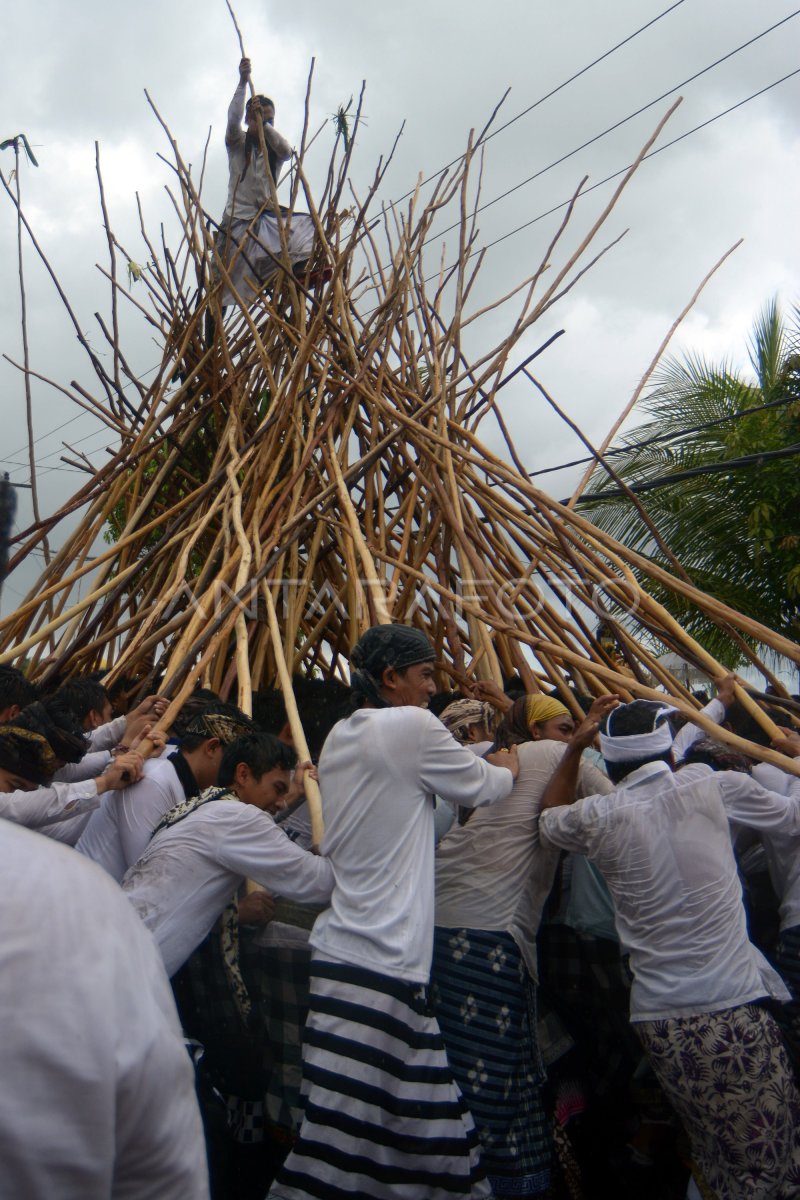 TRADISI MEKOTEK | ANTARA Foto