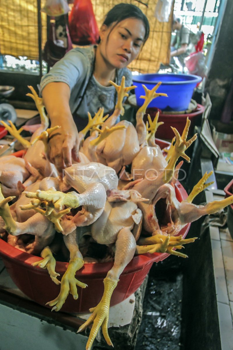 KENAIKAN HARGA DAGING AYAM | ANTARA Foto