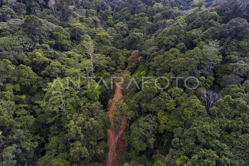 MENJAGA BENTANG ALAM WEHEA | ANTARA Foto