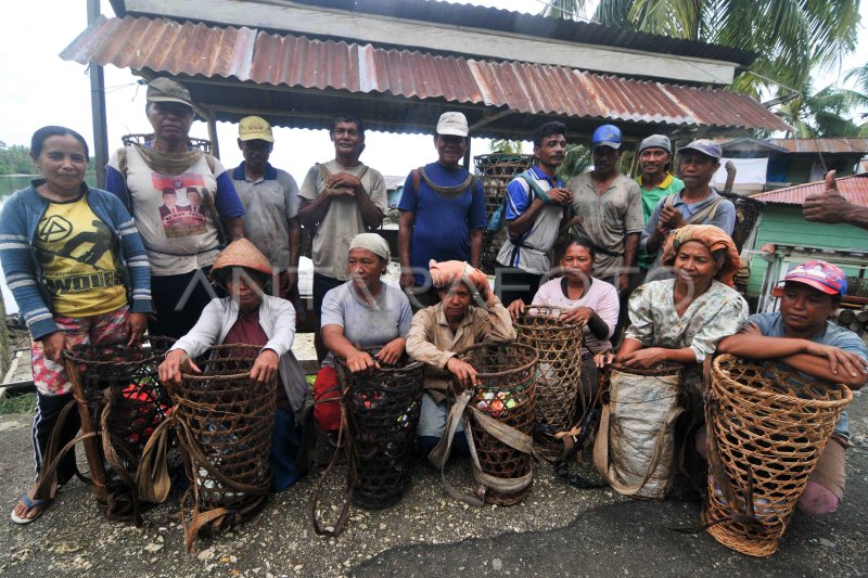 POTENSI WISATA BAHARI BANGGAI KEPULAUAN | ANTARA Foto