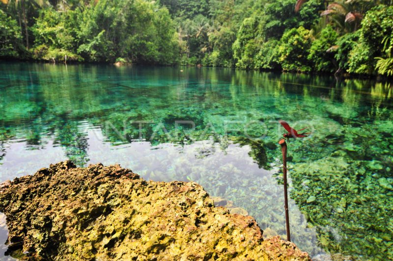 POTENSI WISATA BAHARI BANGGAI KEPULAUAN | ANTARA Foto