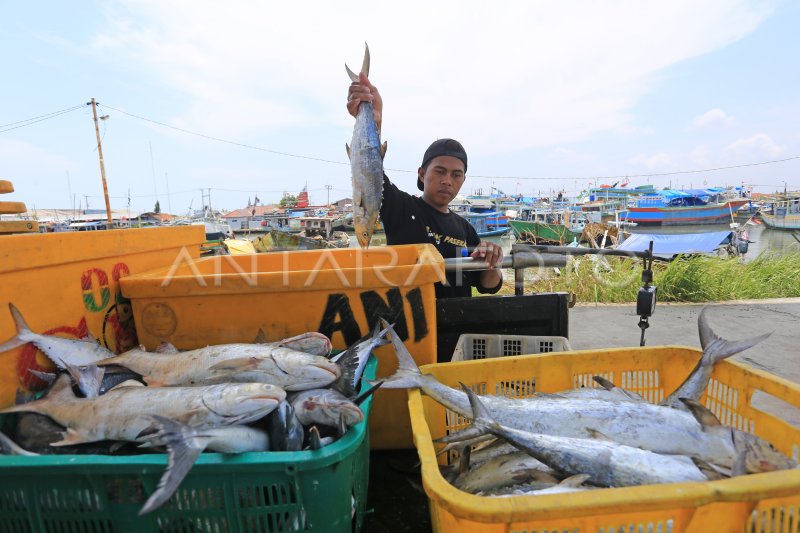 PERBAIKAN PELABUHAN PERIKANAN DI INDONESIA | ANTARA Foto