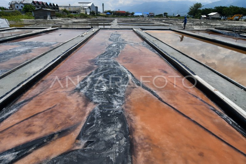 PRODUKSI GARAM DENGAN GEOMEMBRAN | ANTARA Foto