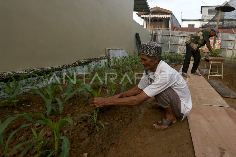 PEMANFAATAN LAHAN KOSONG PERKOTAAN | ANTARA Foto PEMANFAATAN LAHAN KOSONG PERKOTAAN | ANTARA Foto