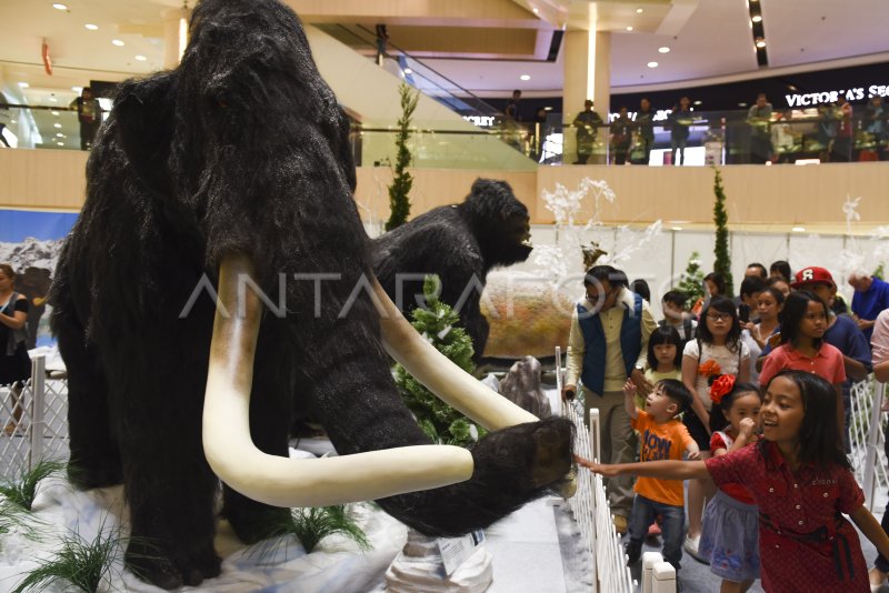 HIBURAN HEWAN PURBA | ANTARA Foto HIBURAN HEWAN PURBA | ANTARA Foto