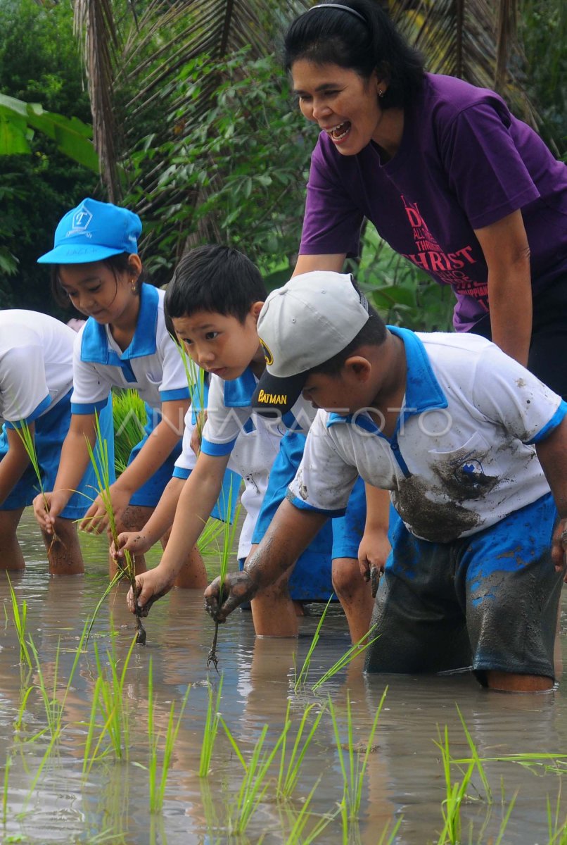BELAJAR PERTANIAN SEJAK DINI | ANTARA Foto BELAJAR PERTANIAN SEJAK DINI | ANTARA Foto